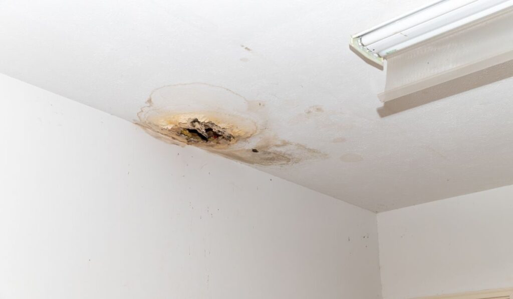 24/7 Water Damage Restoration Los Angeles | ASAP Response Team